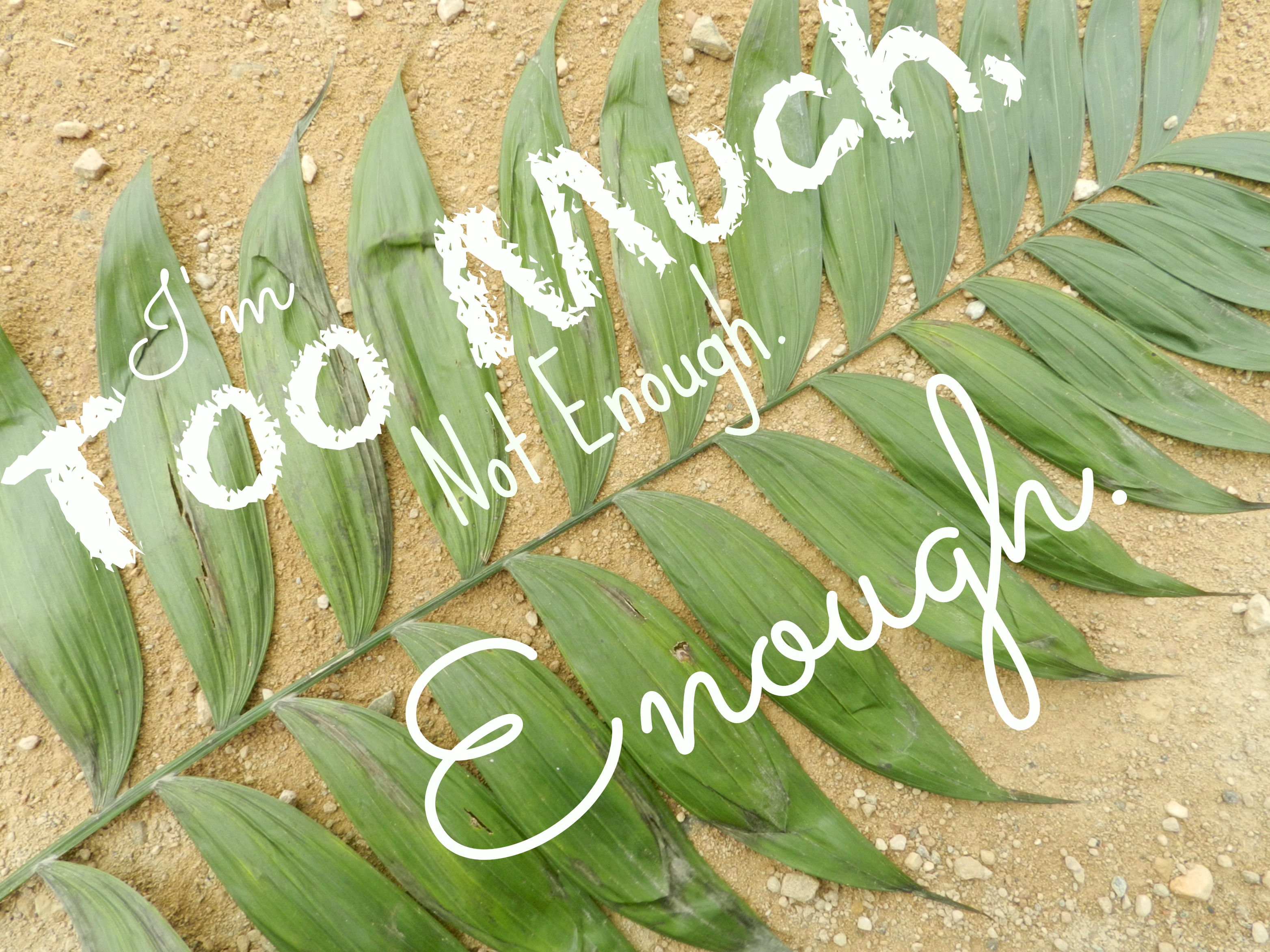 Finding Your Way Back to Truth (Part 4) - Amy Beth Pederson